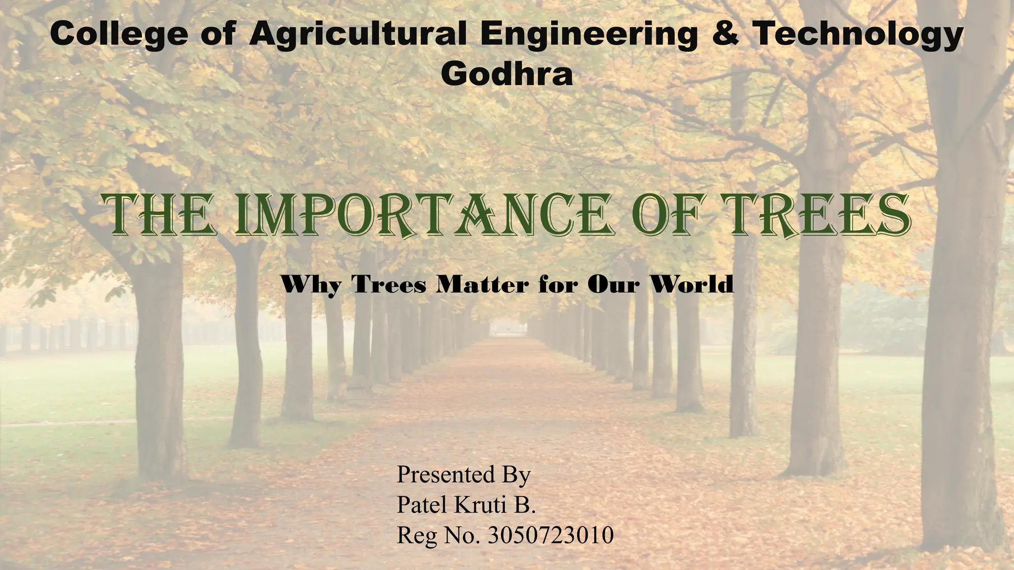 The Importance of Trees in all various field.pptx