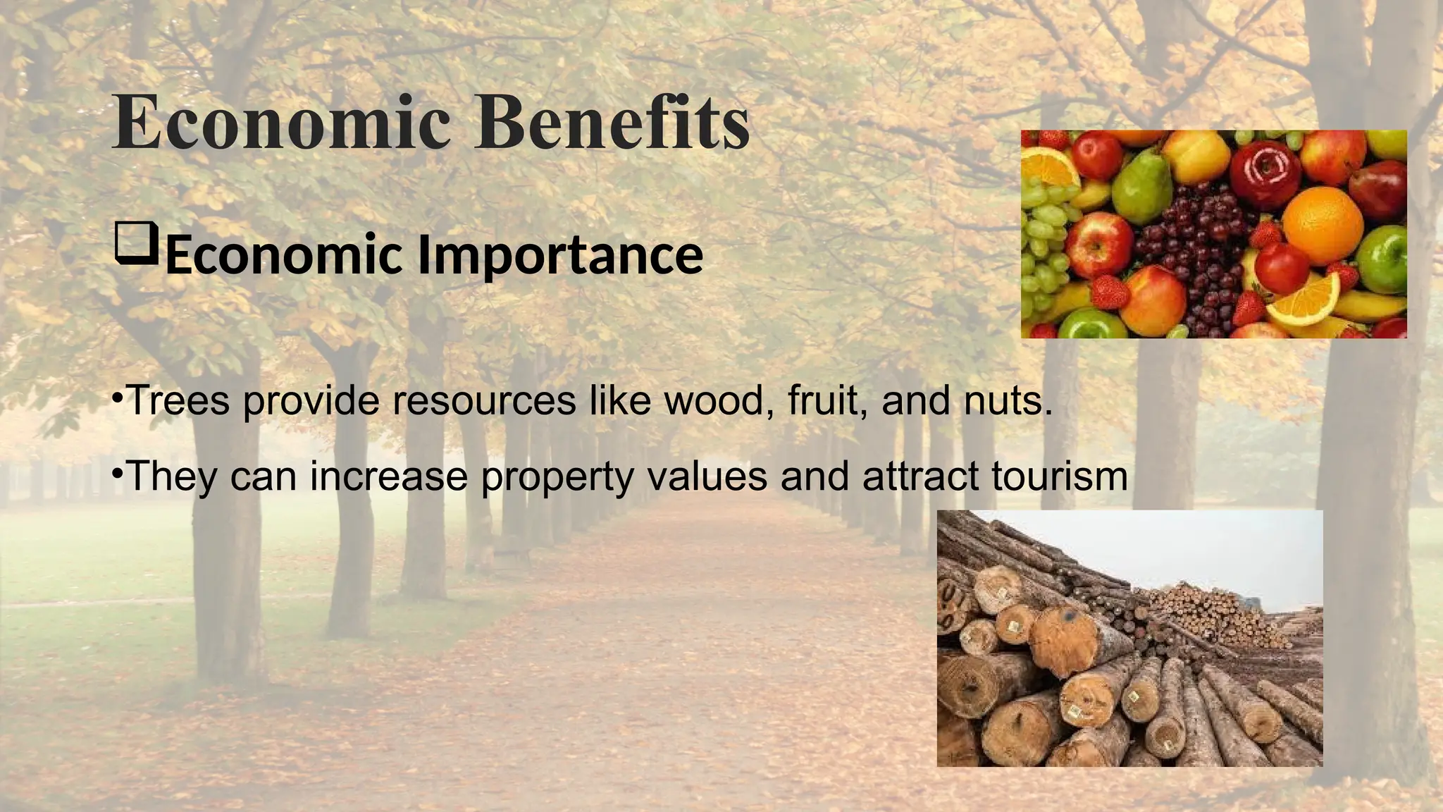 The Importance of Trees in all various field.pptx