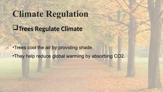 The Importance of Trees in all various field.pptx