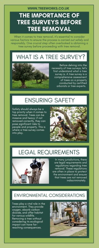 The Importance of Tree Surveys Before Tree Removal.pdf
