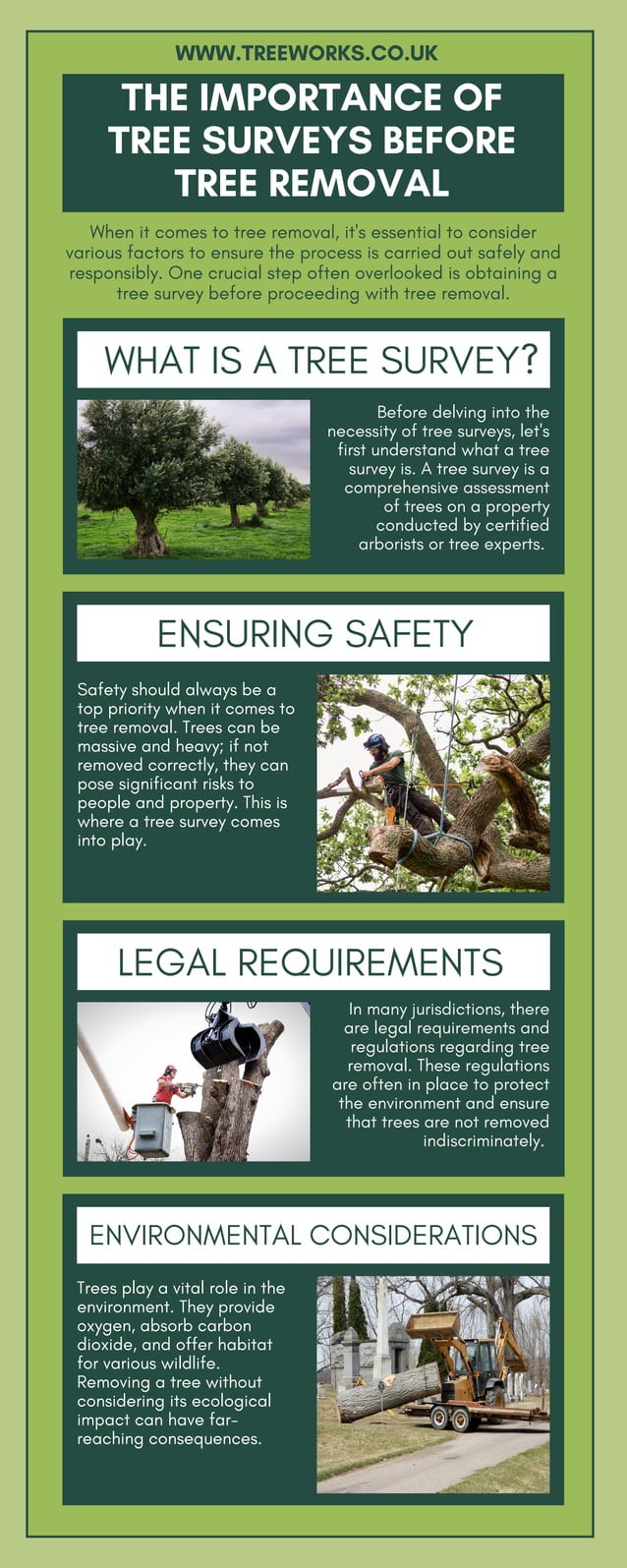 The Importance of Tree Surveys Before Tree Removal.pdf