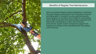 The Importance of Tree Trimming for Urban Landscapes | PPT