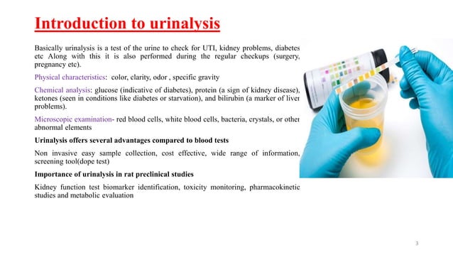 THE IMPORTANCE OF URINALYSIS AND THE ROLE OF.pptx