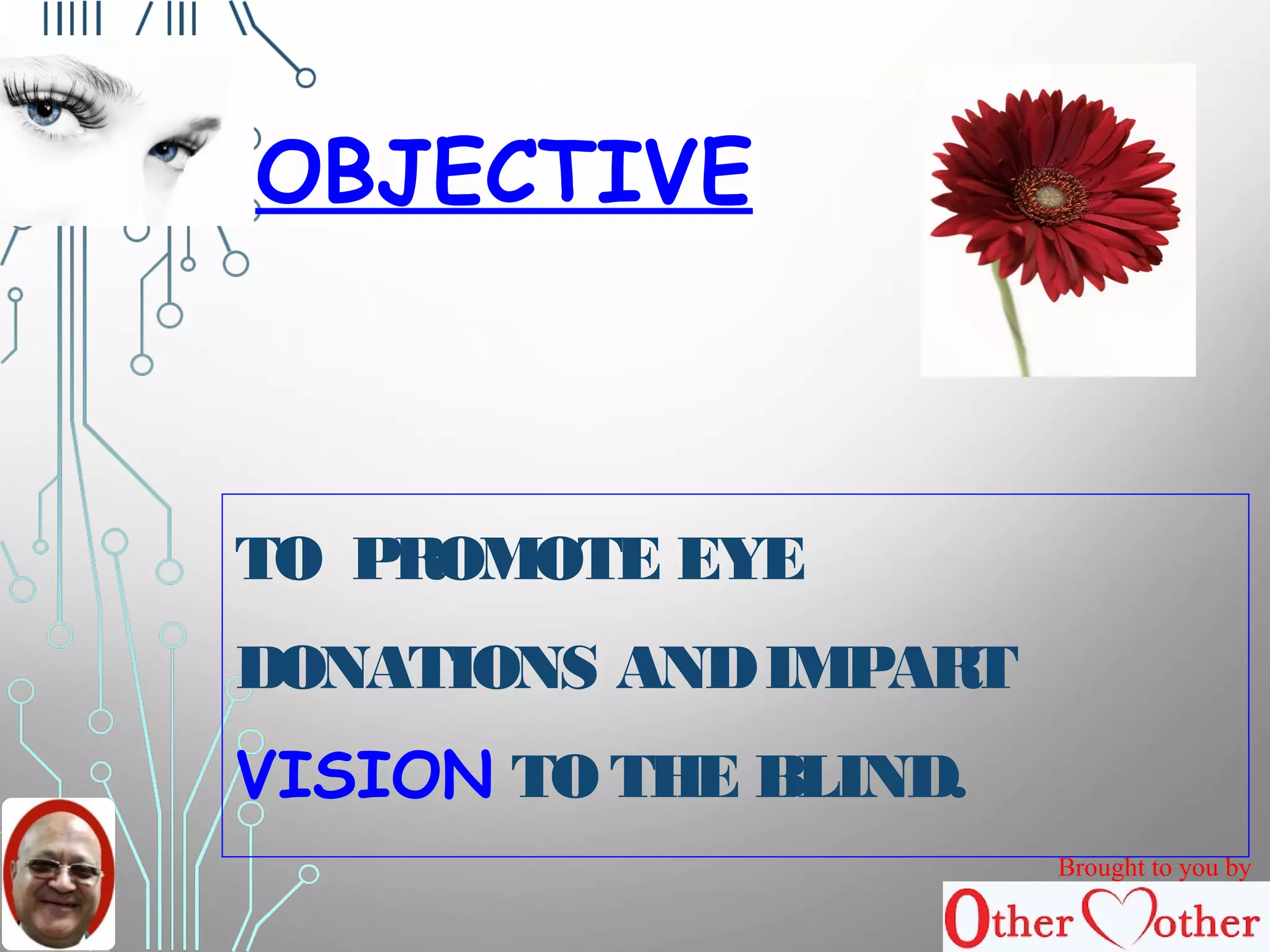 The importance of vision | PPT | Eye and Vision Conditions | Diseases ...