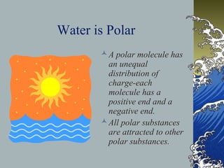 The importance of water | PPT | Chemistry | Science