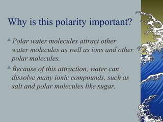 The importance of water | PPT | Chemistry | Science