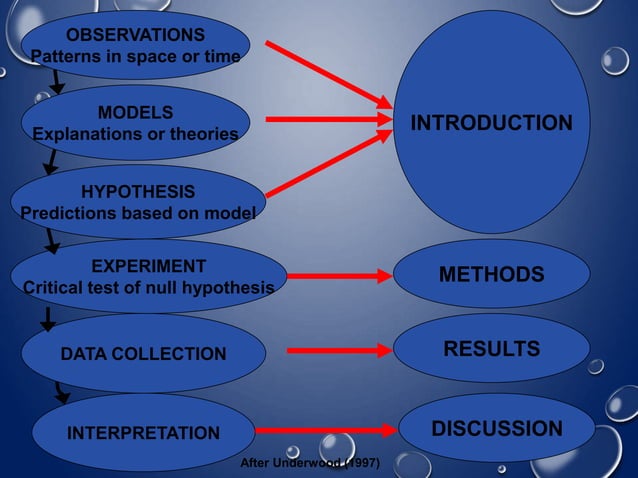 The IMRAD format | PPTX | Publishing Industry | Industries