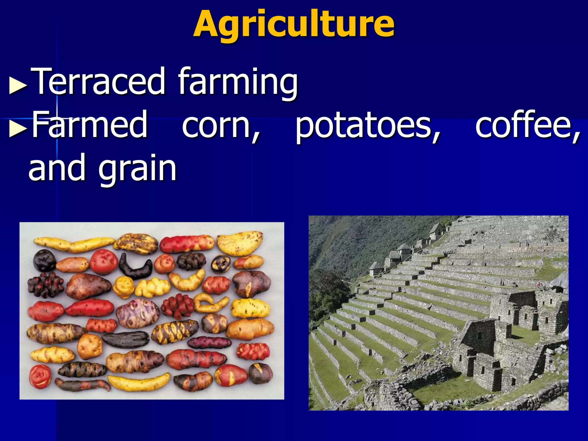 The Inca Empire | PPT