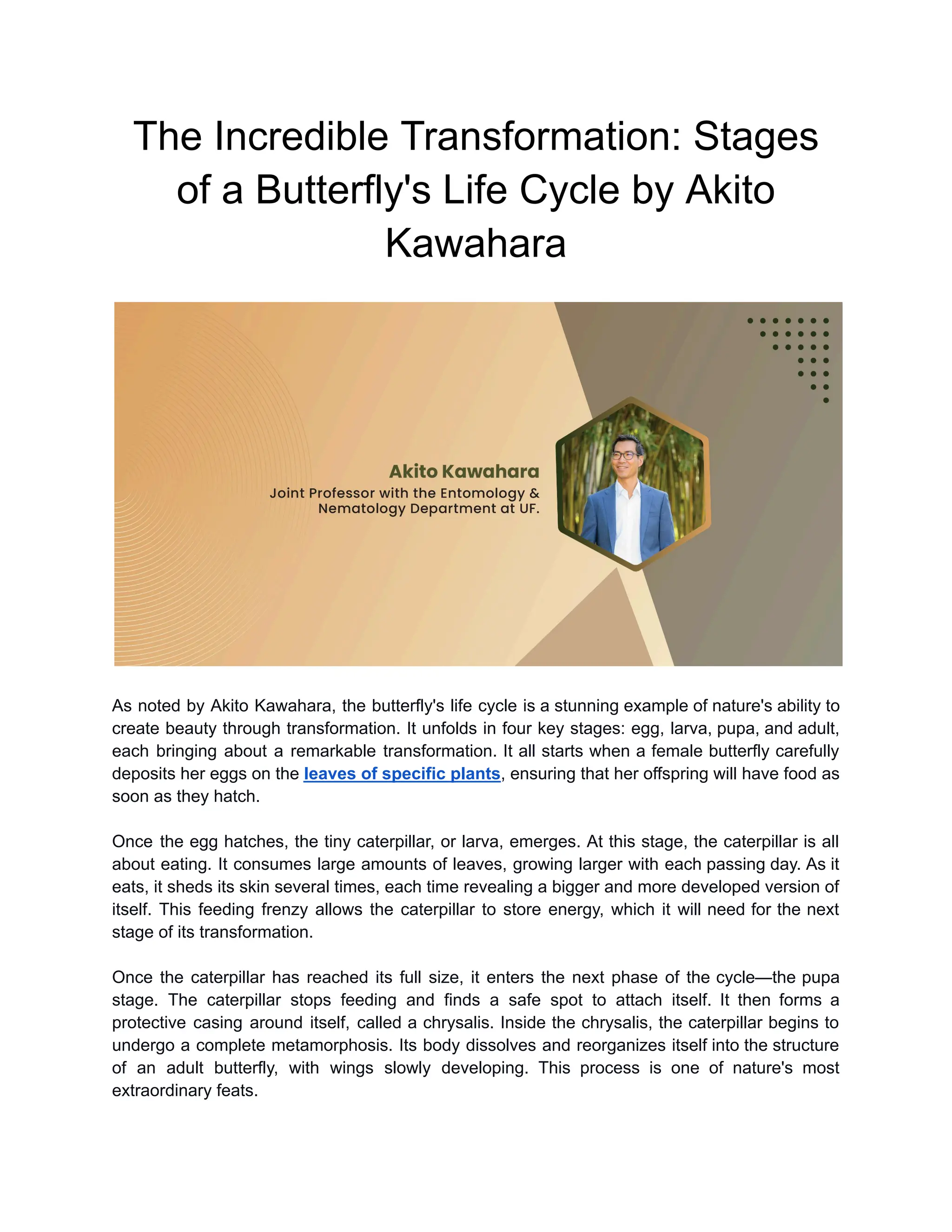 The Incredible Transformation_ Stages of a Butterfly's Life Cycle by ...