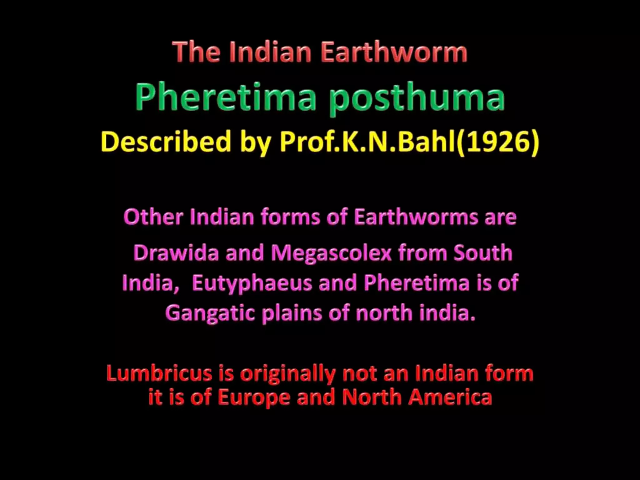 The Indian Earthworm.pptx