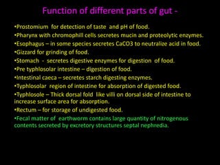 The Indian Earthworm.pptx