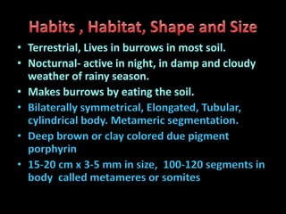 The Indian Earthworm.pptx