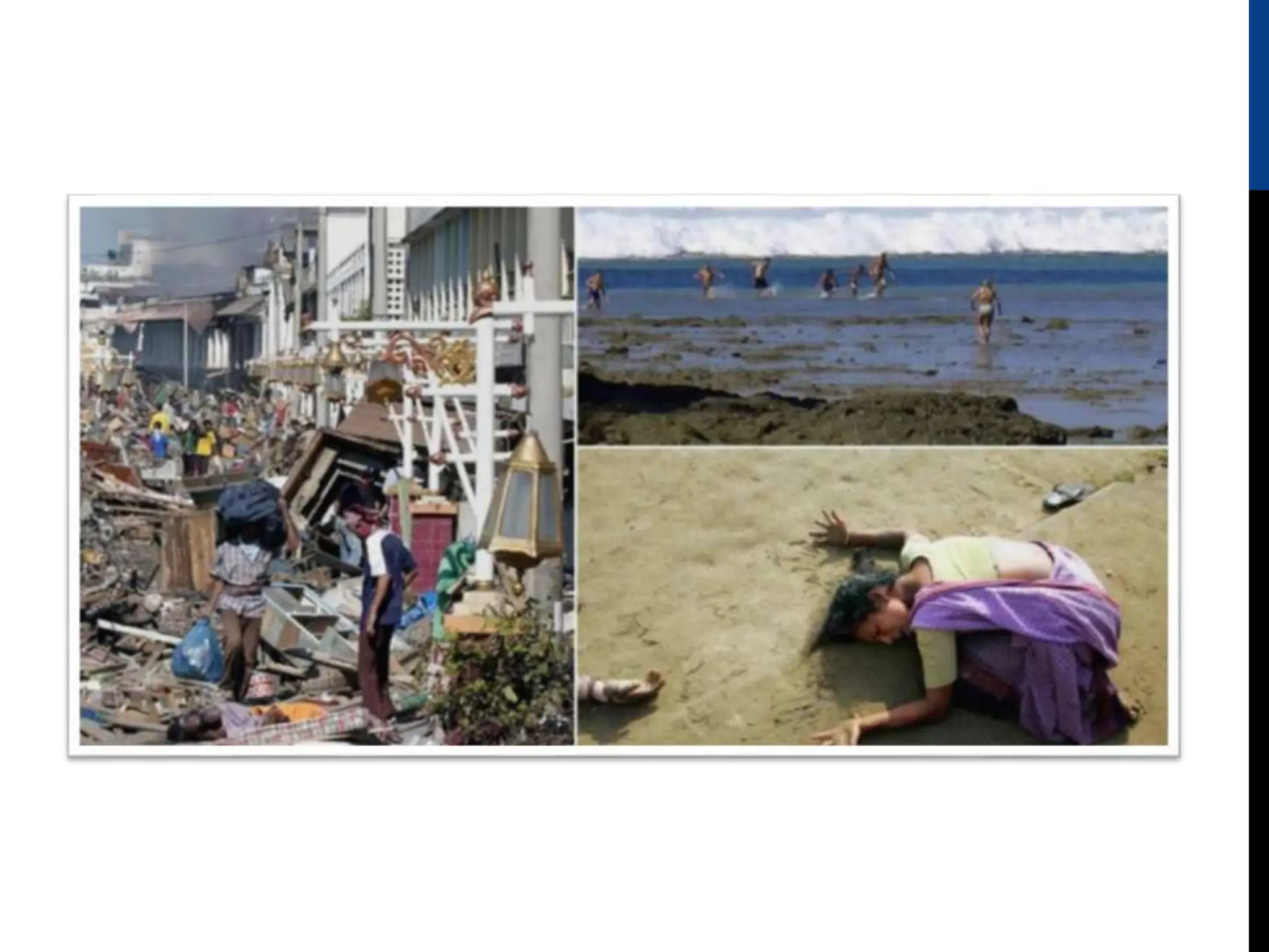 The Indian Ocean Tsunami of 2004 Remembering a Catastrophe.pptx