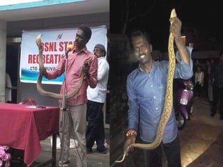 The indian snake man vava suresh | PPT