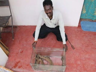 The indian snake man vava suresh | PPT