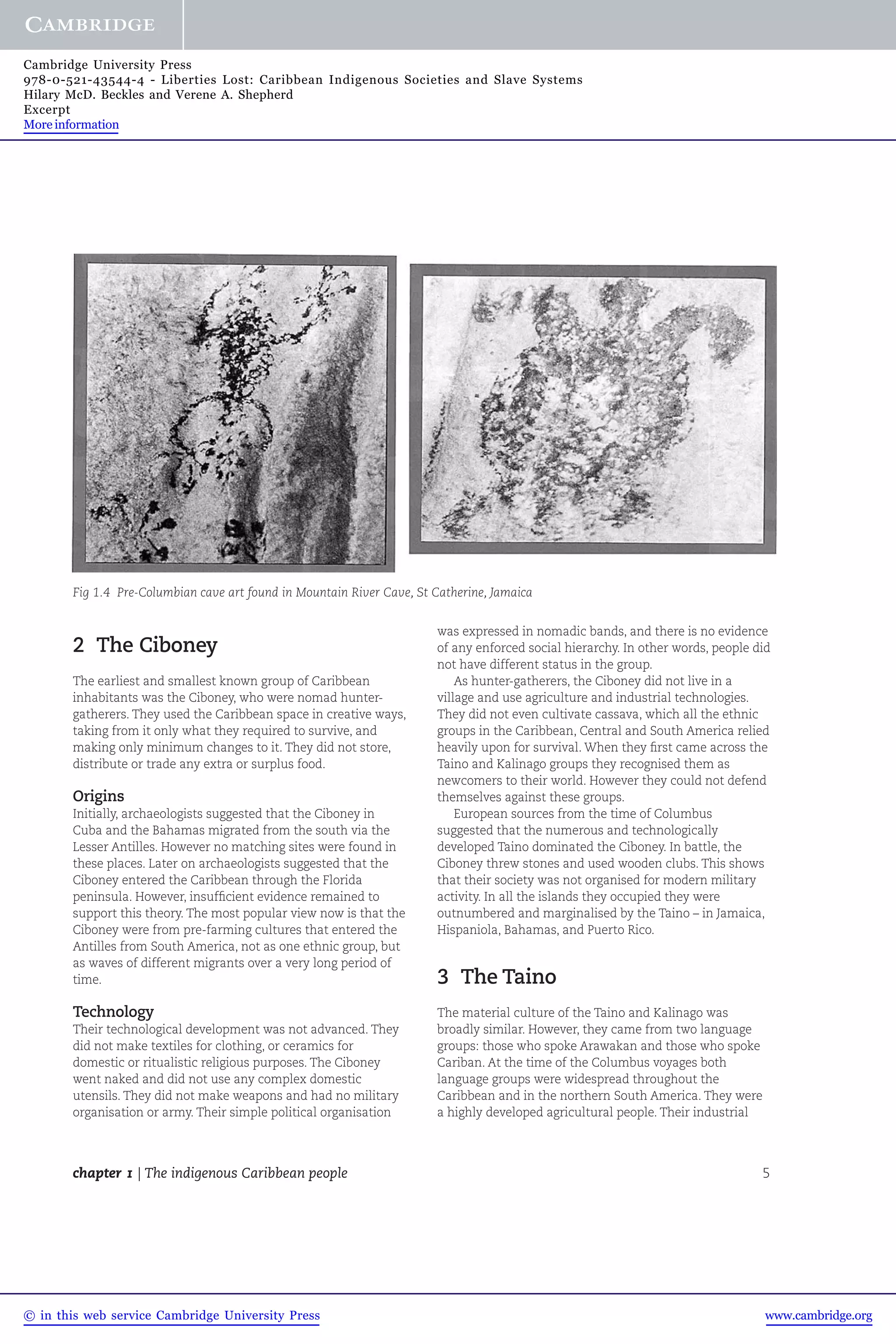 The indigenous caribbean people | PDF