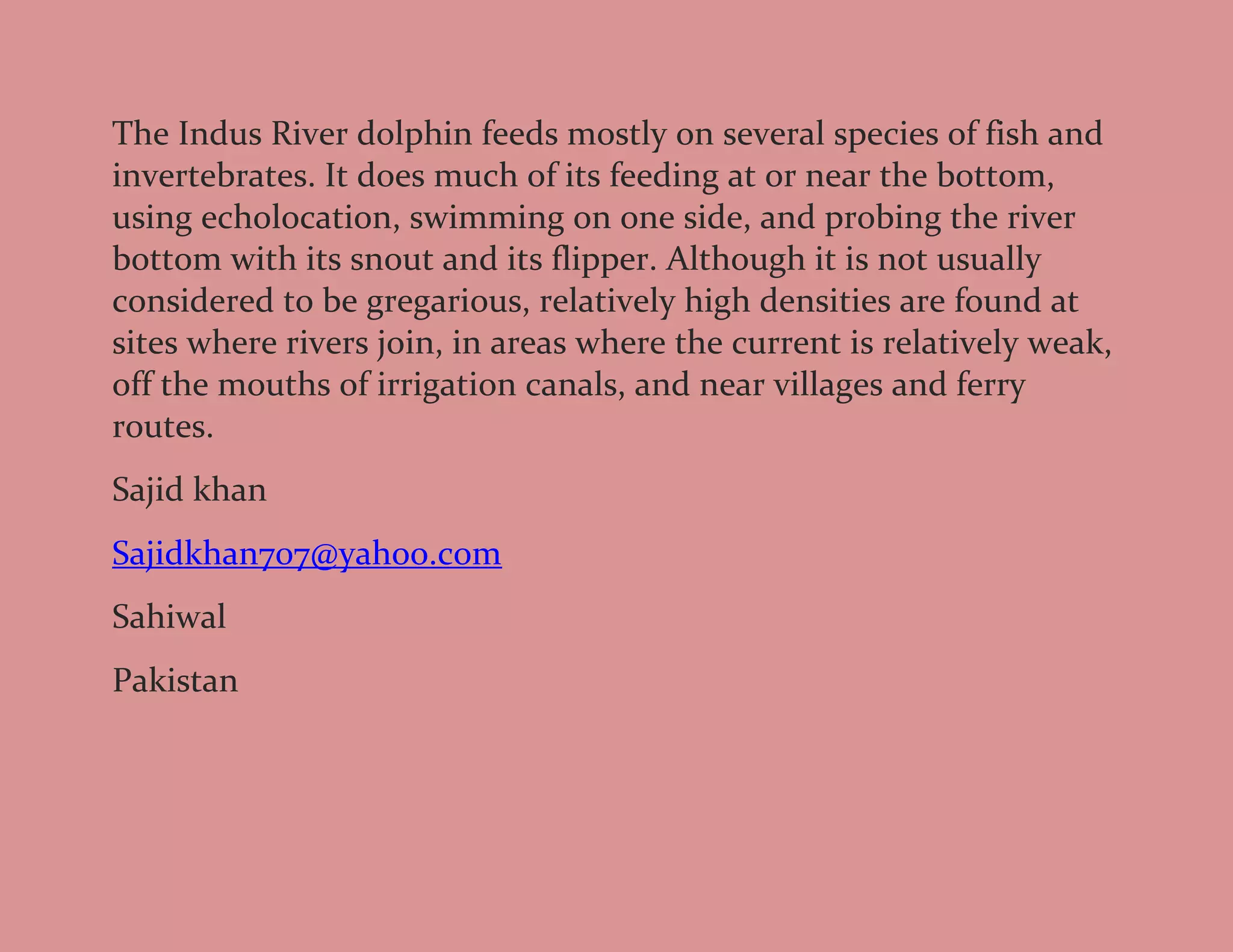 The indus river dolphin | DOCX