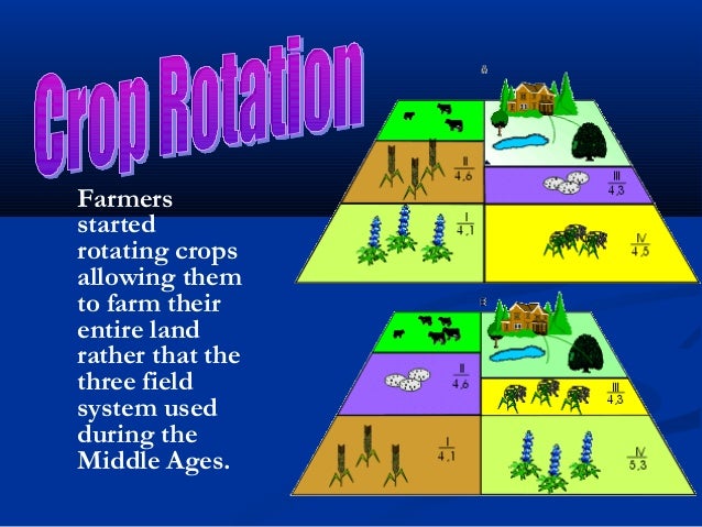 3 Field System In The Middle Ages