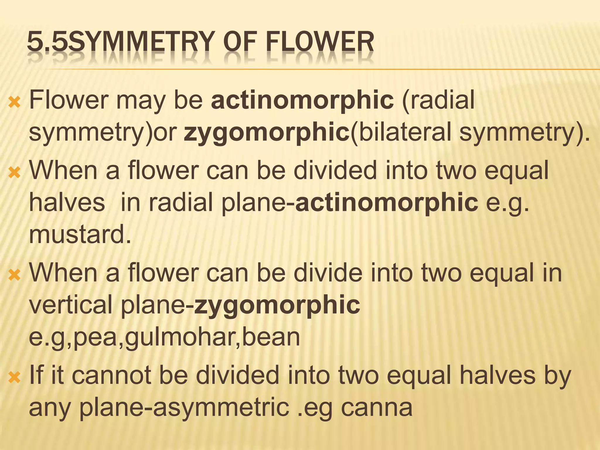 The inflorescence | PPT