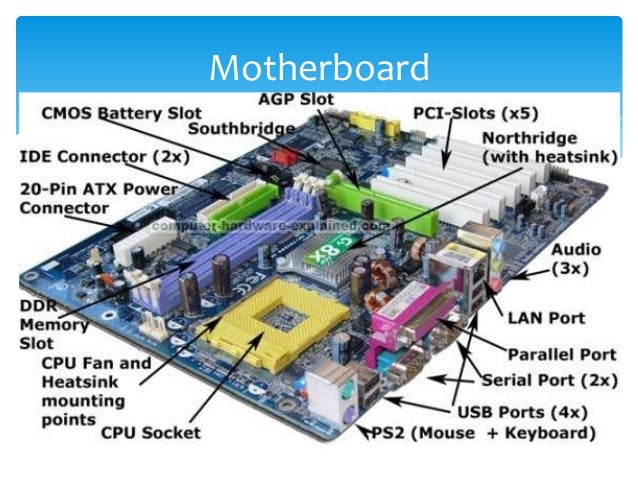 The info system infs429