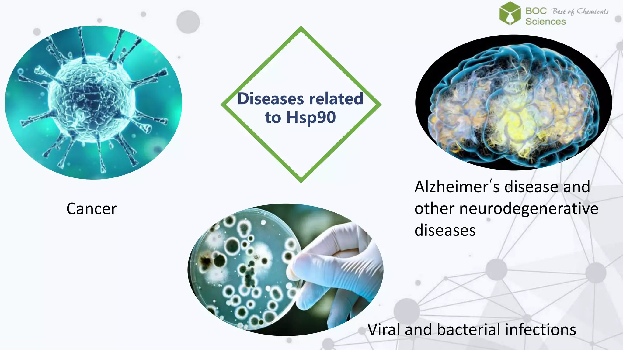 The inhibition and function of heat shock protein 90 | PPT