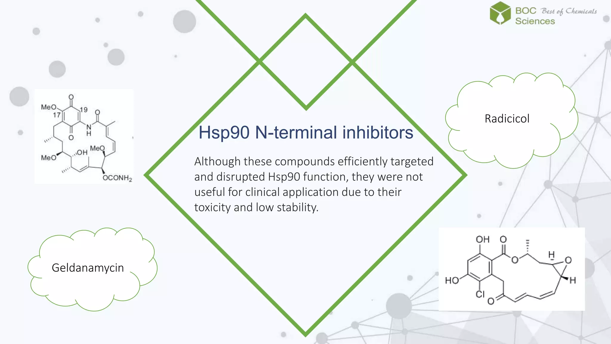 The inhibition and function of heat shock protein 90 | PPT
