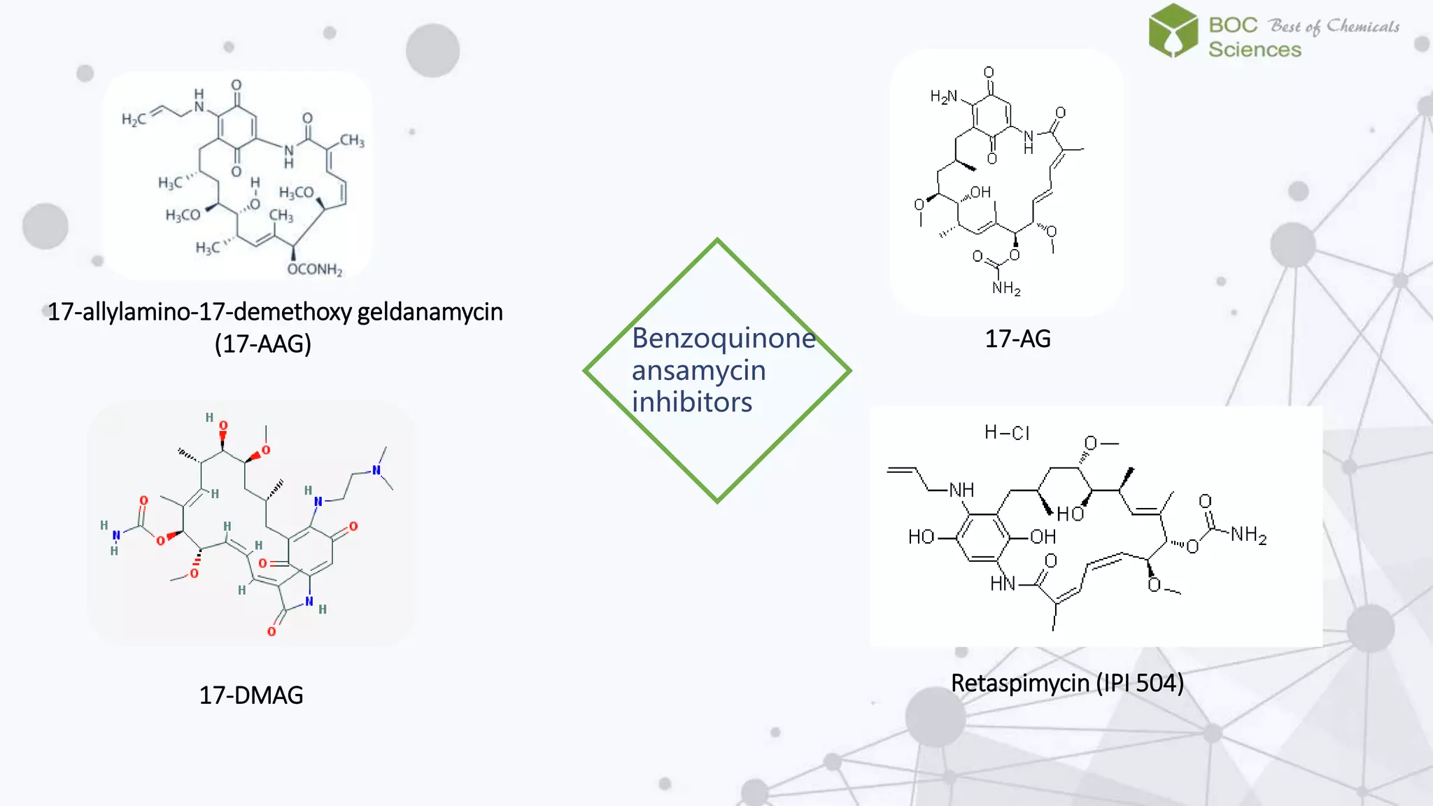 The inhibition and function of heat shock protein 90 | PPT