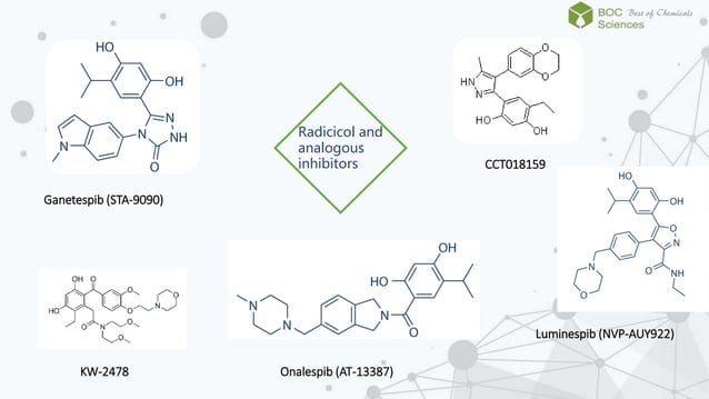 The inhibition and function of heat shock protein 90 | PPT