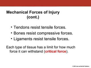 The injury process | PPT