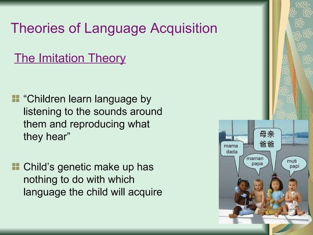 The innateness theory and theories of language acquisition | PPT