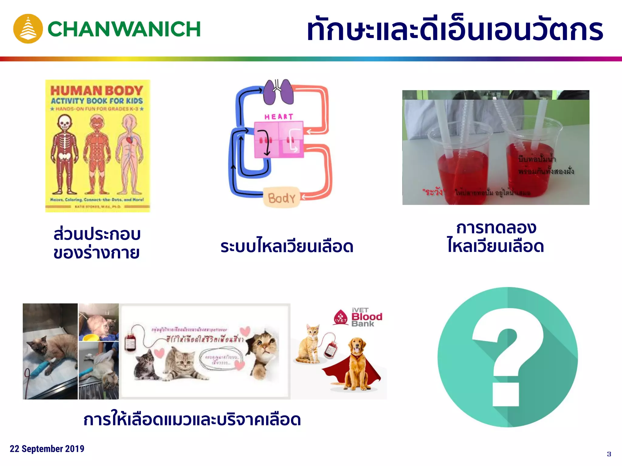 The innovator's DNA @Chanwanich | PDF