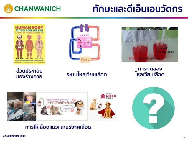 The innovator's DNA @Chanwanich | PDF