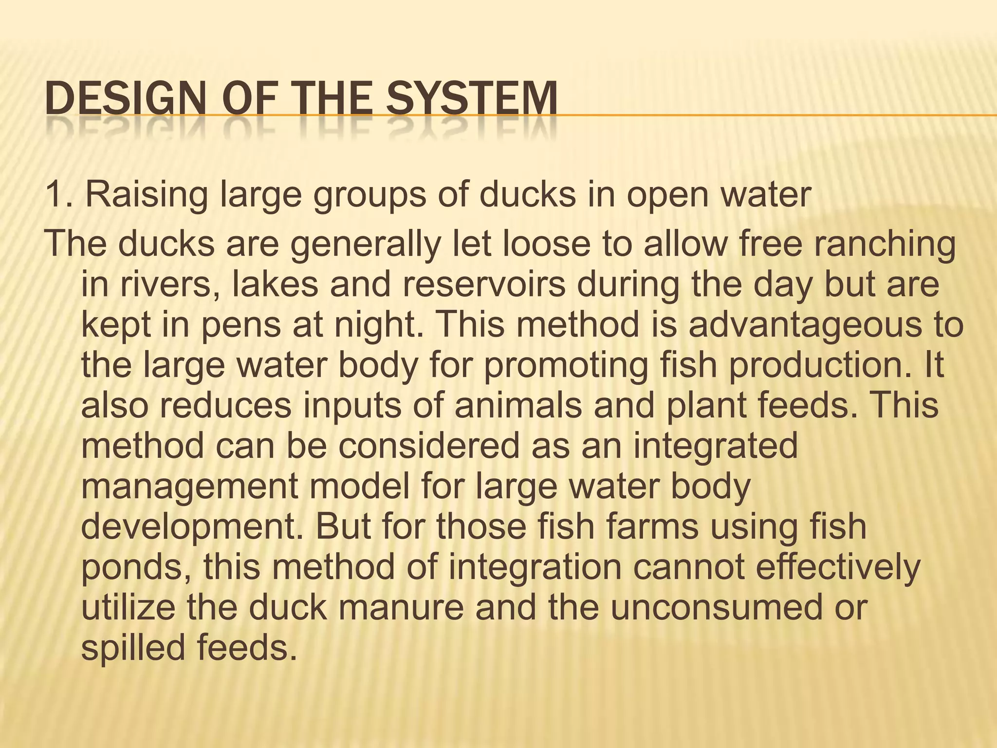 The integration of fish and ducks farming | PPTX
