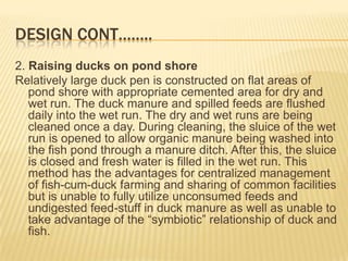 The integration of fish and ducks farming | PPTX