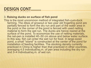 The integration of fish and ducks farming | PPTX