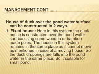 The integration of fish and ducks farming | PPTX