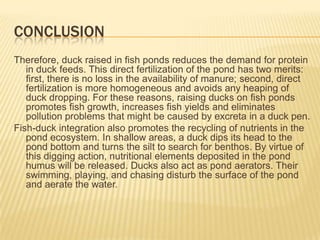 The integration of fish and ducks farming | PPTX