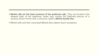 The integument system | PPT