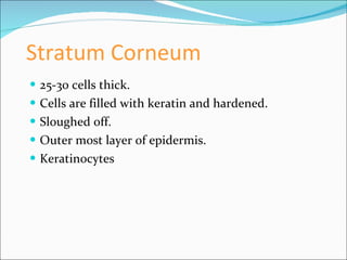 Sloughing Stratum Corneum Cells