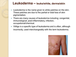 The integumentary system | PPTX