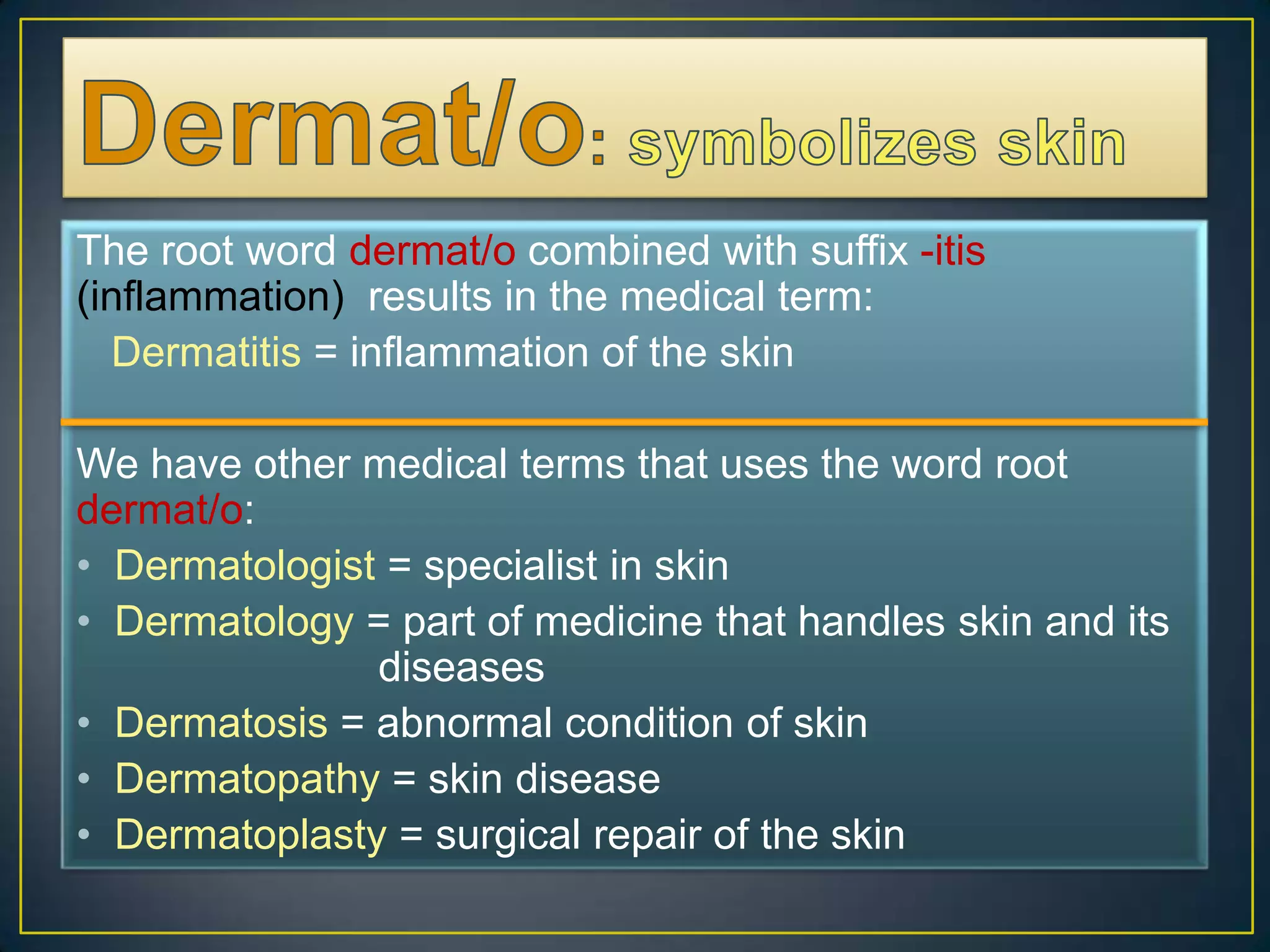 The integumentary system | PPTX