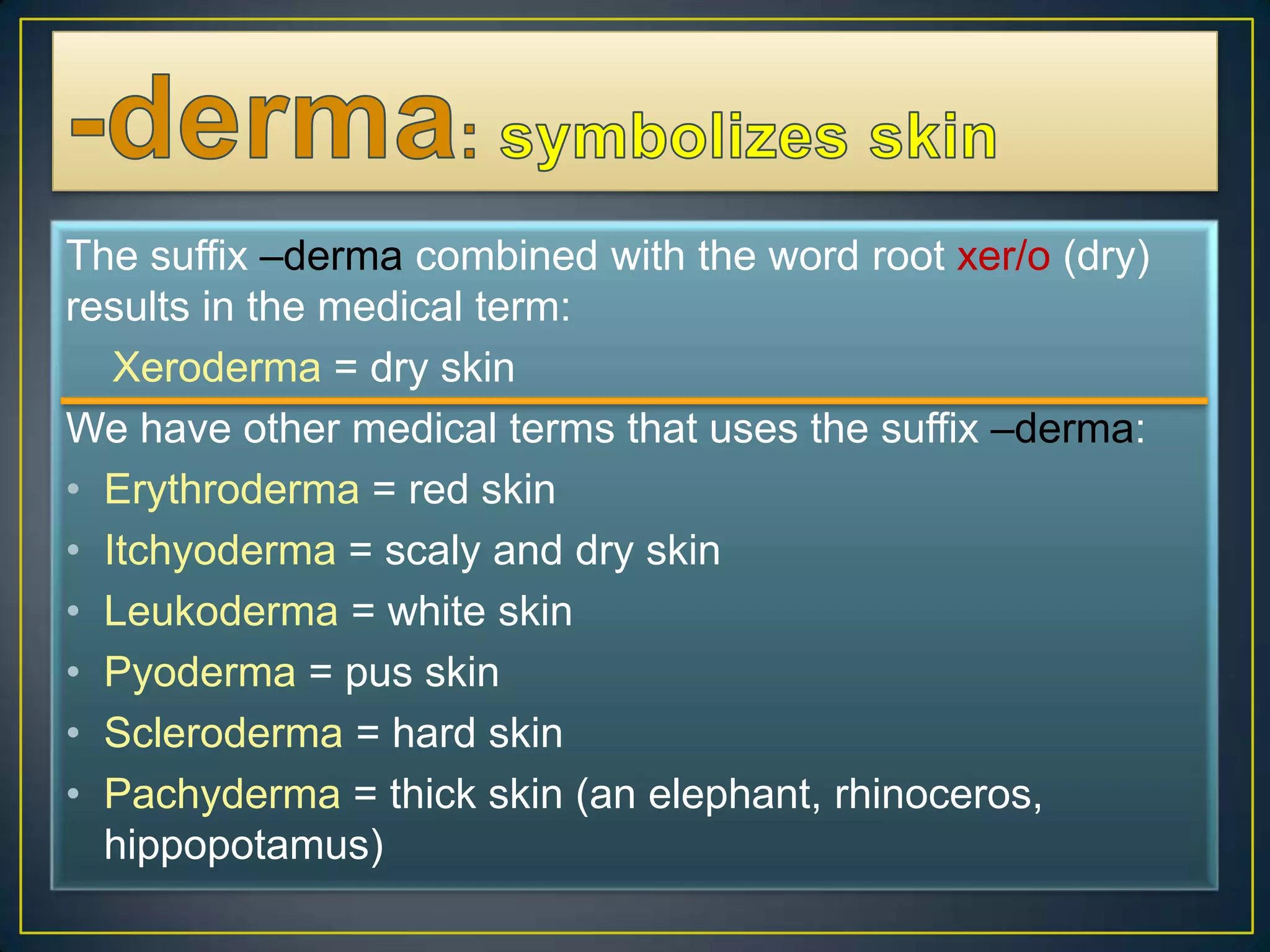 The integumentary system | PPTX