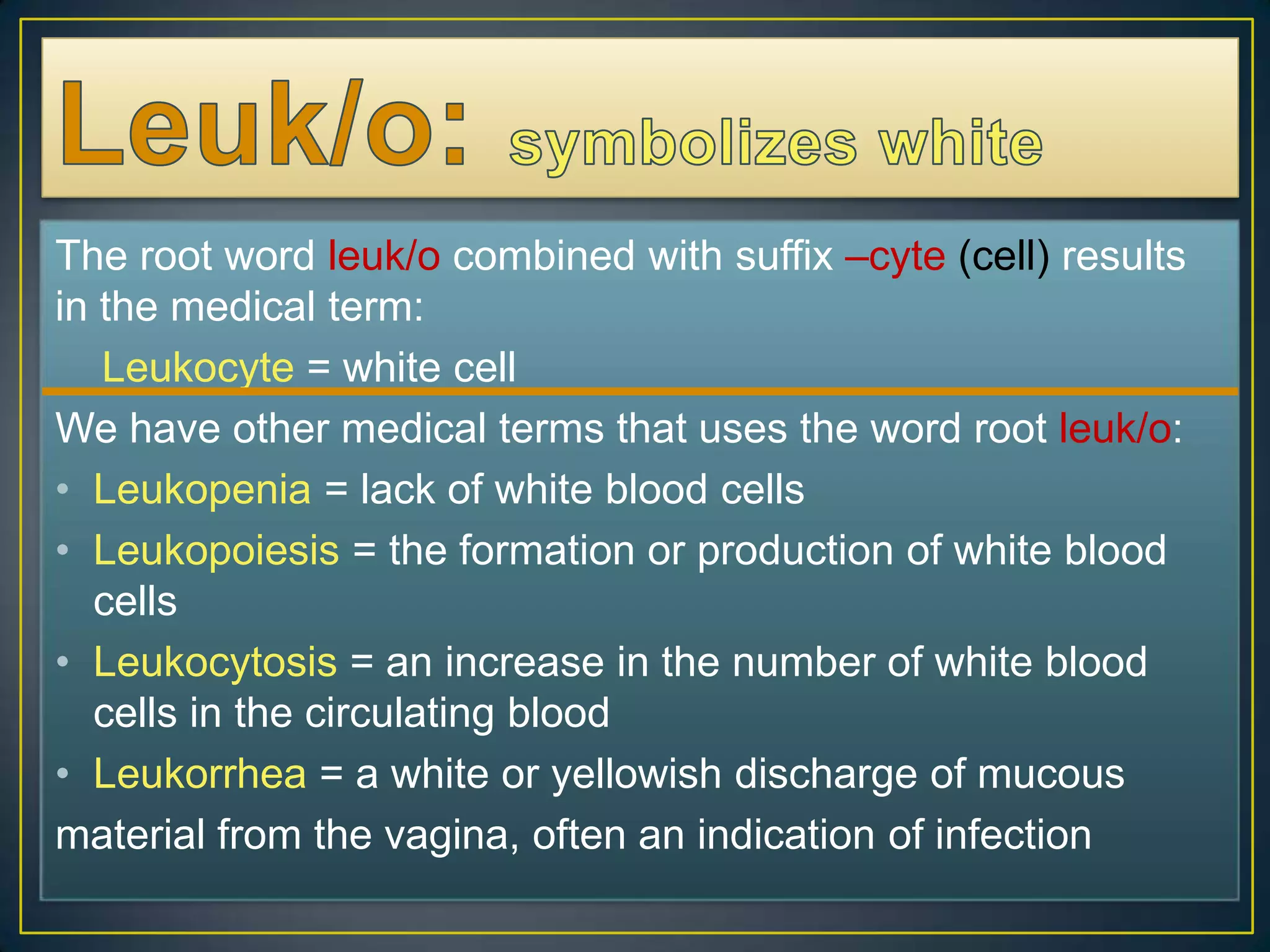 The integumentary system | PPTX