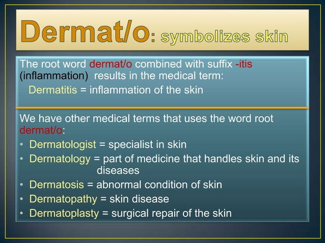 The integumentary system | PPTX | Skin and Dermatology | Diseases and ...
