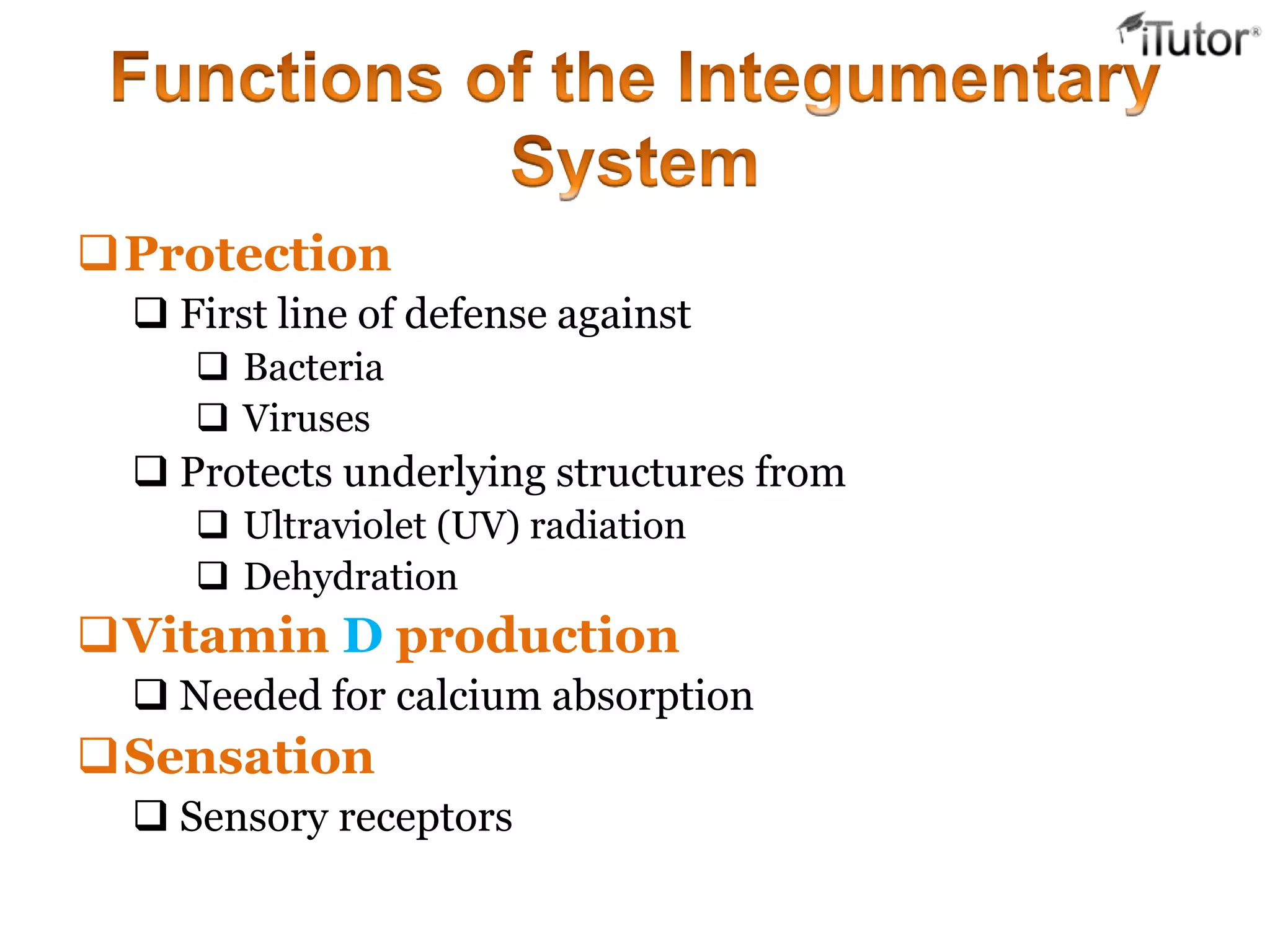 The integumentary system | PPTX
