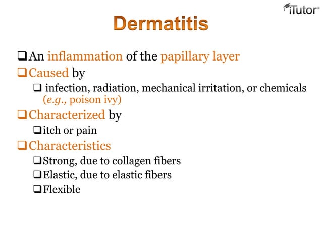 The integumentary system | PPTX | Skin and Dermatology | Diseases and ...