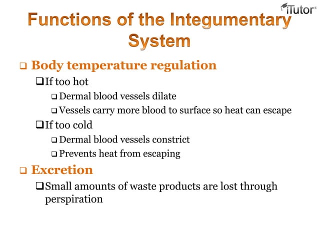 The integumentary system | PPTX | Skin and Dermatology | Diseases and ...
