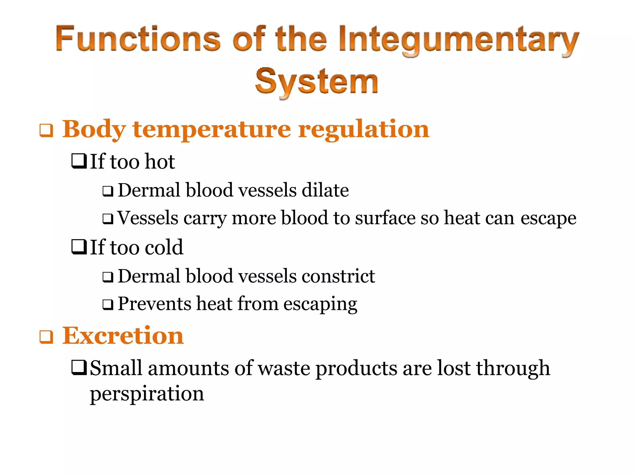 The integumentary system | PPTX