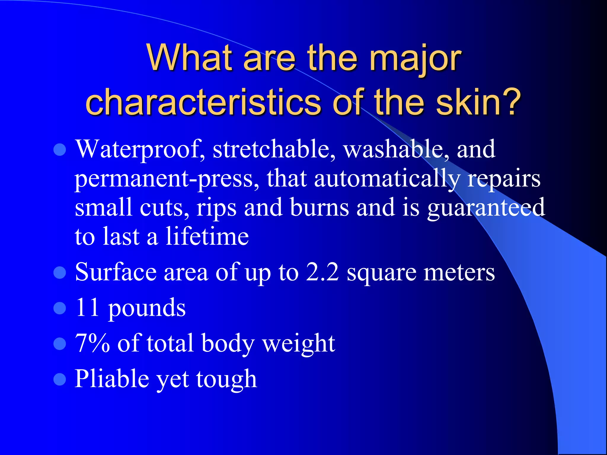 The Integumentary System.ppt