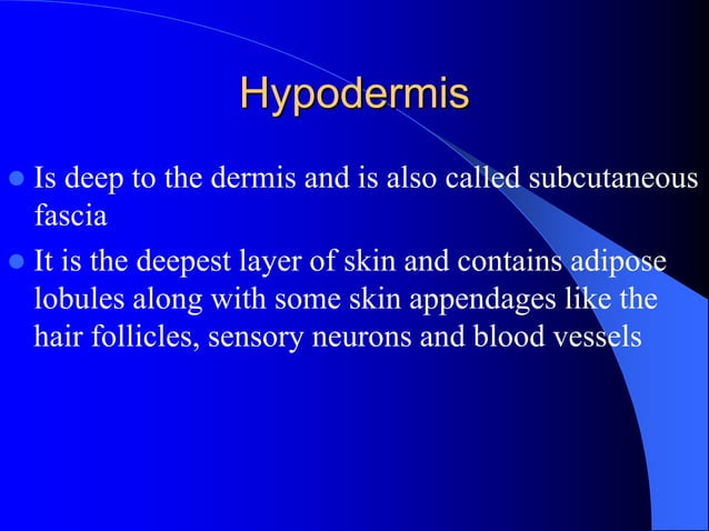 The Integumentary System.ppt